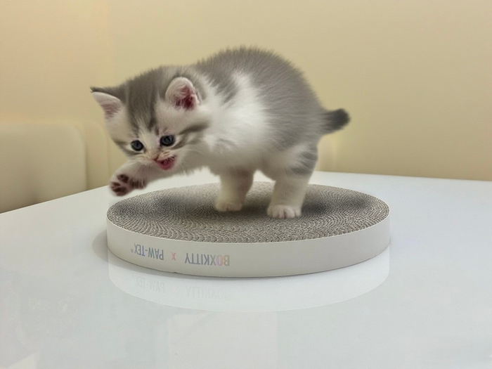 Round Scratch Pad
