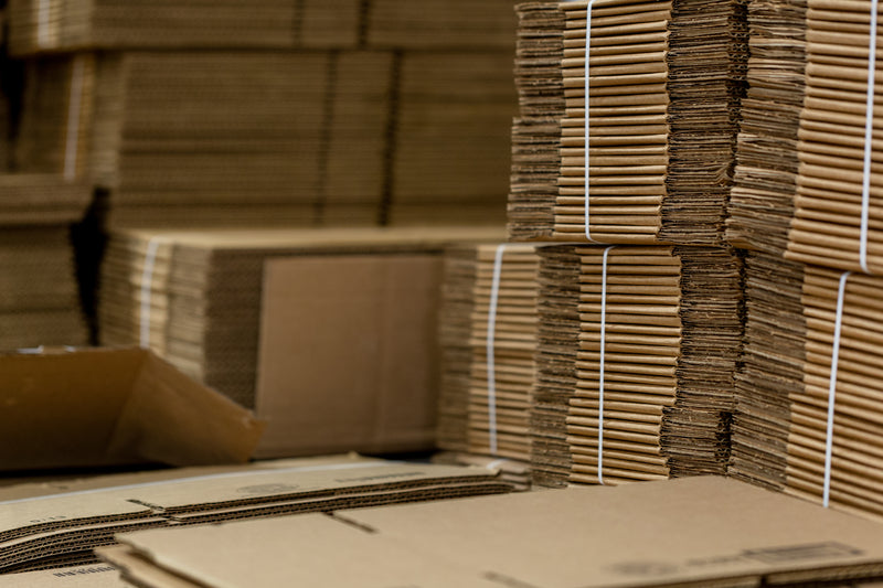 Cardboard Artist Singapore | Paper Carpenter